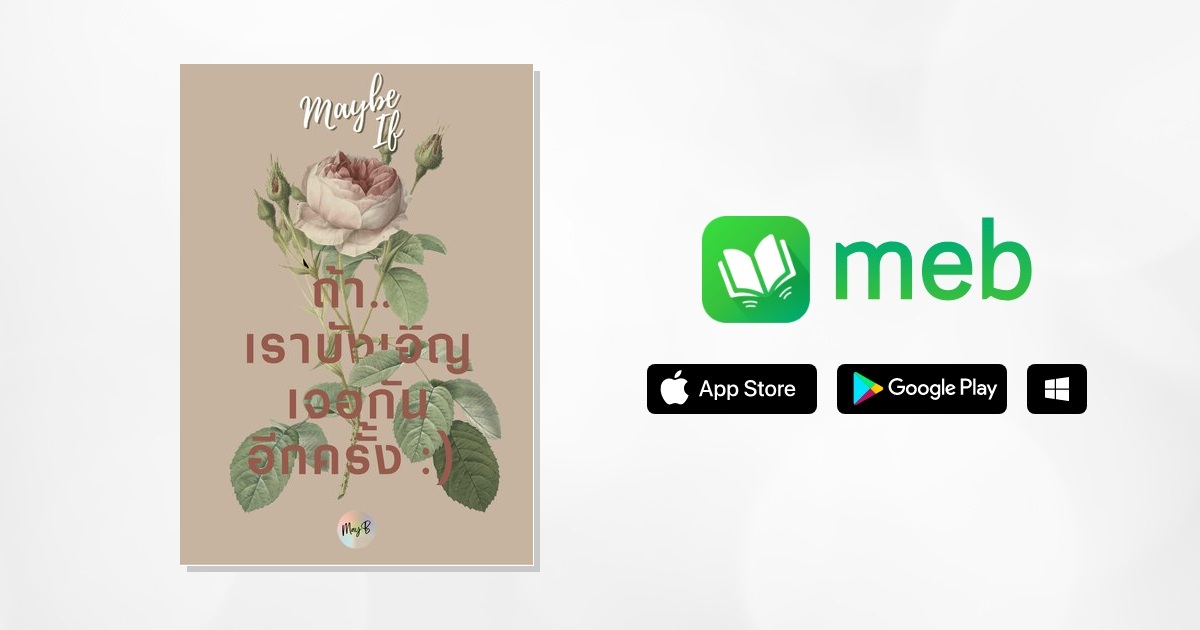 ถ้า...เราบังเอิญเจอกันอีกครั้ง:: e-book นิยาย โดย MayB